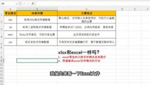 Excel文件格式探讨：XLSX及其他常见格式与格式转换方法 - 趣帮office教程网